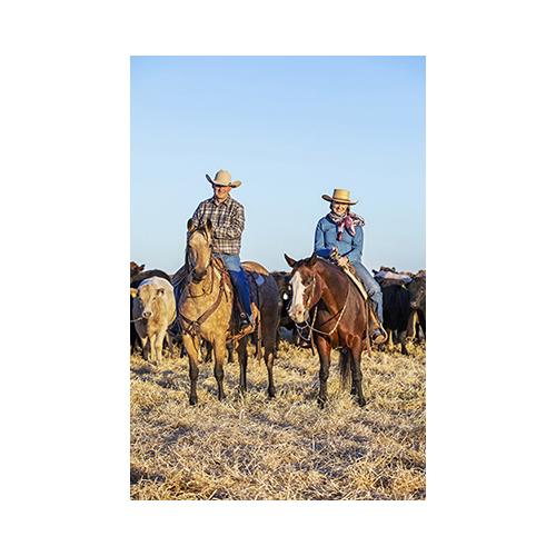 How three cattle owners make a unique ranching arrangement work ...