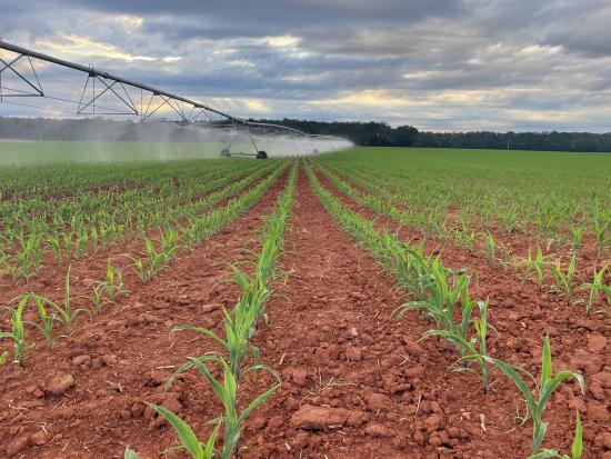 Experts stress importance of farmers in water conservation efforts ...