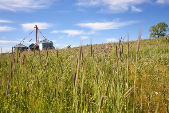 Bayer and Perdue AgriBusiness to incentivize regenerative ag practices ...