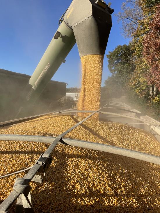 Three crops in one season? | Successful Farming