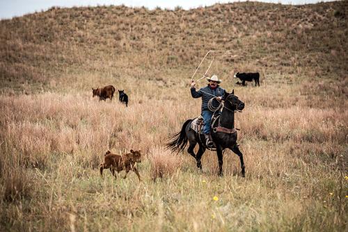 The 121-year-old legacy of Diamond Bar Ranch in the Nebraska Sandhills ...