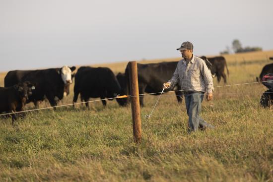 Rotational grazing revival | Successful Farming