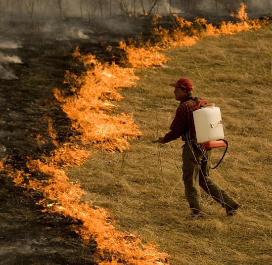 7 Ways to dress safely during a prescribed burn | Successful Farming