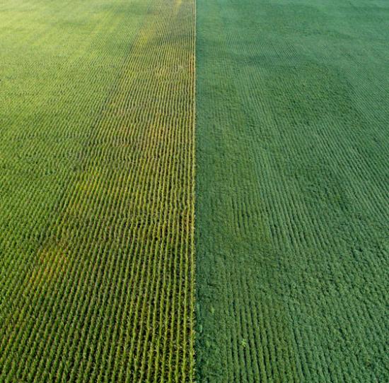 5 Agronomy tips to maximize yield | Successful Farming