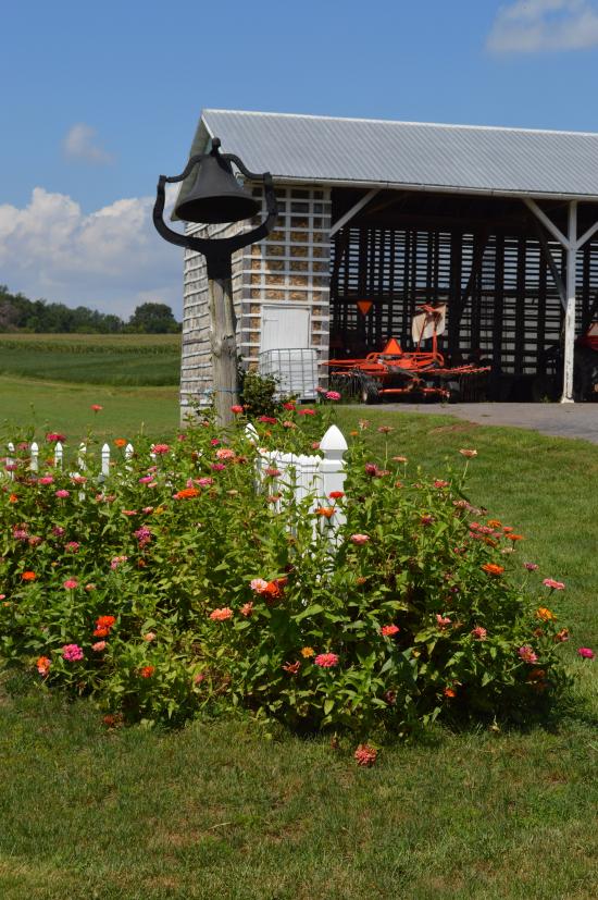 Springtime cleaning: Yard edition | Successful Farming