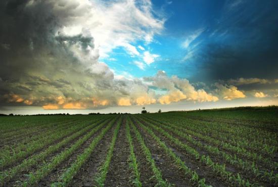 Big in ag: Spring on its way