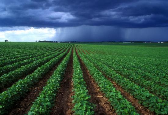 Thriving in a harsh climate