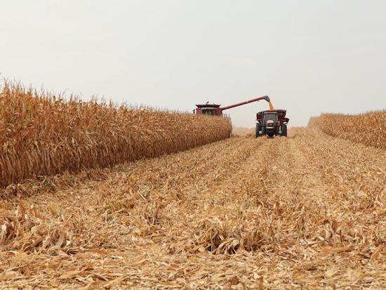 Harvest in Iowa