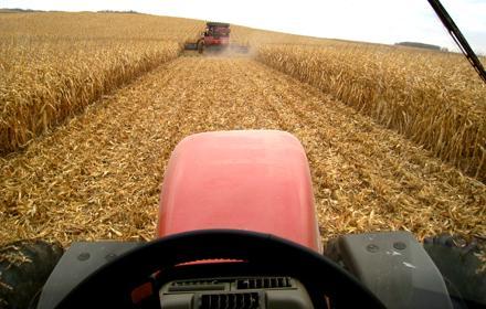 4 Agronomic Practices that Pay