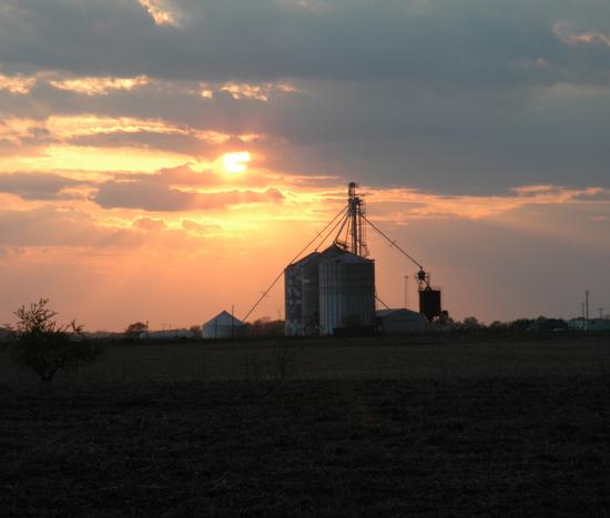 Low Crop, Livestock Prices Leave Production Below Break-Even Levels ...