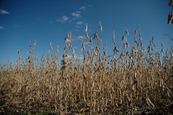 Mapping Out Crop Progress in Nebraska | Successful Farming