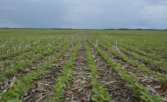 Eight tips to follow for variable-rate seeding in soybeans | Successful ...