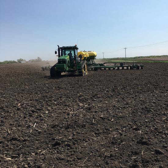 Prepare for Frost and Precipitation | Successful Farming