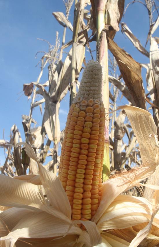 3 Big Things Today, September 16 | Successful Farming