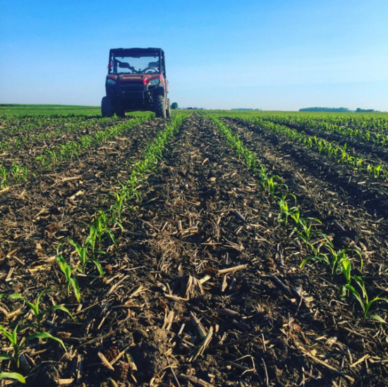 Crop Progress Photos: May 23, 2016 | Successful Farming