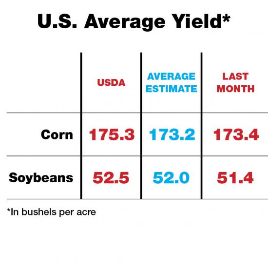 Soybeans Close 20¢ Lower on USDA Data | Successful Farming