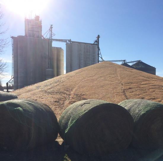 The largest corn crop ever is coming, USDA says | Successful Farming