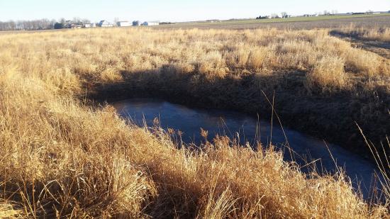 Wetlands Lessons on My Farm | Successful Farming