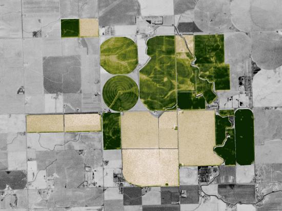 Farmers Edge Partners with Planet Satellite Imagery | Successful Farming