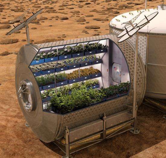 Farming in Space | Successful Farming