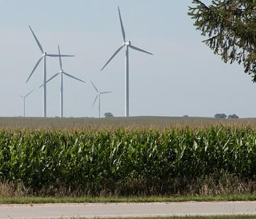 Crops And Wind Turbines | Successful Farming