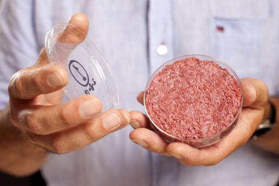 Fake Meat: More Protein Coming From Labs, Plants | Successful Farming