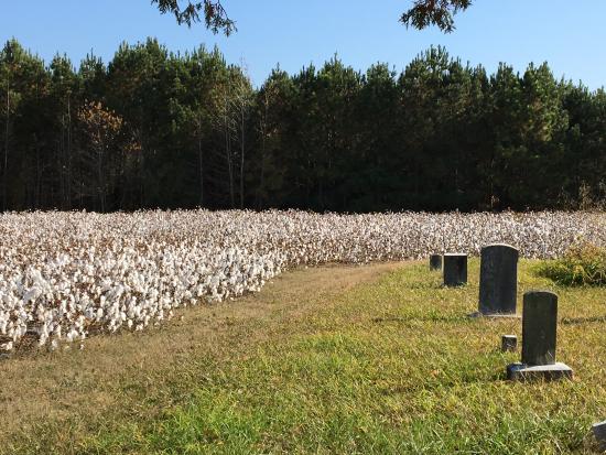 Burial on the Farm | Successful Farming