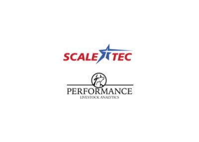 Scale-Tec, Performance Livestock Analytics Partnership Delivers ...