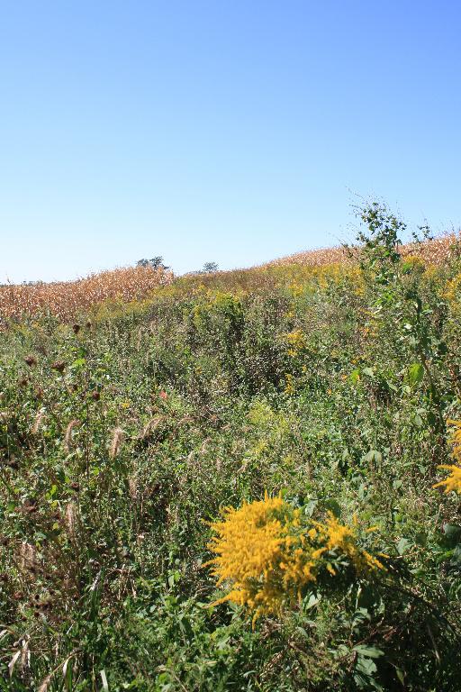 Precise Prairies | Successful Farming