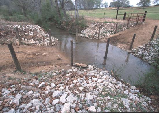 Building Stream Crossings For Cattle | Successful Farming
