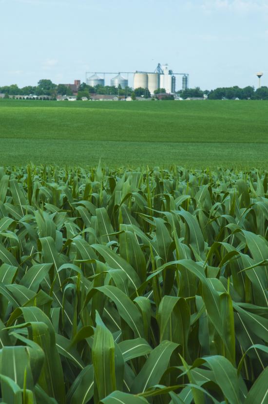 Pioneer Ramps Up Corn Program | Successful Farming