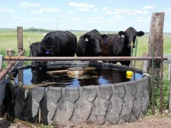 Insulating A Livestock Water Tank | Successful Farming