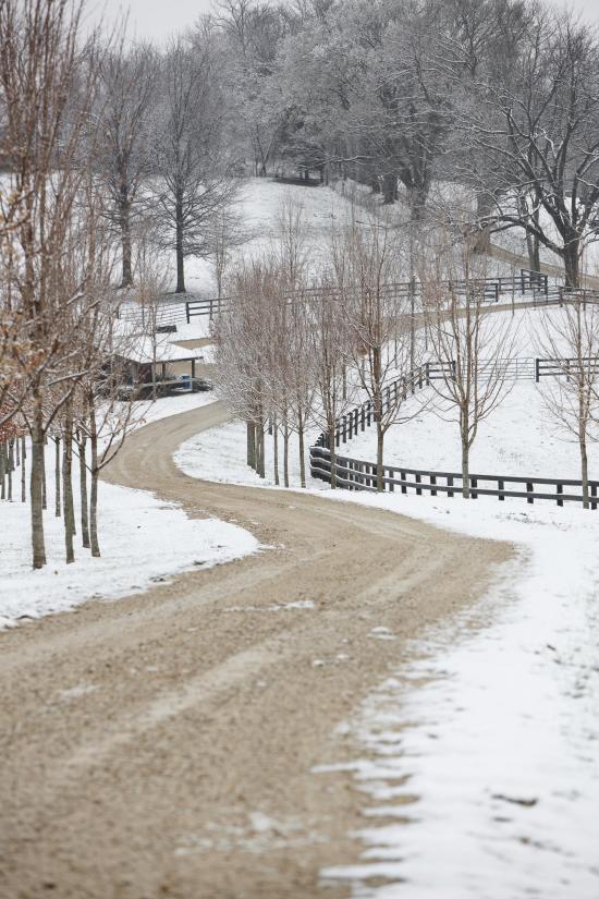 Designing a Farm Lane | Successful Farming