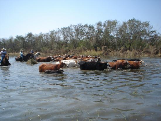 Developing Springs for Livestock | Successful Farming