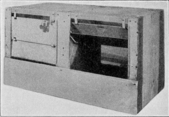 Trap Nesting for Chickens | Successful Farming